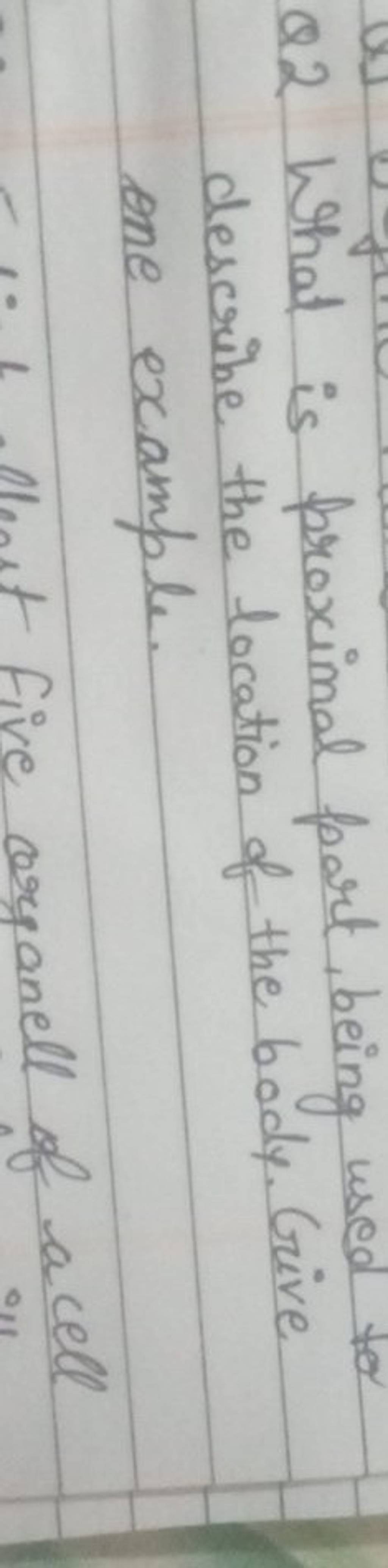 Q2 What Is Proximal Part Being Used Describe The Location Of The Body G Q2 What Is Proximal Part Being Used Describe The Location Of The Body G