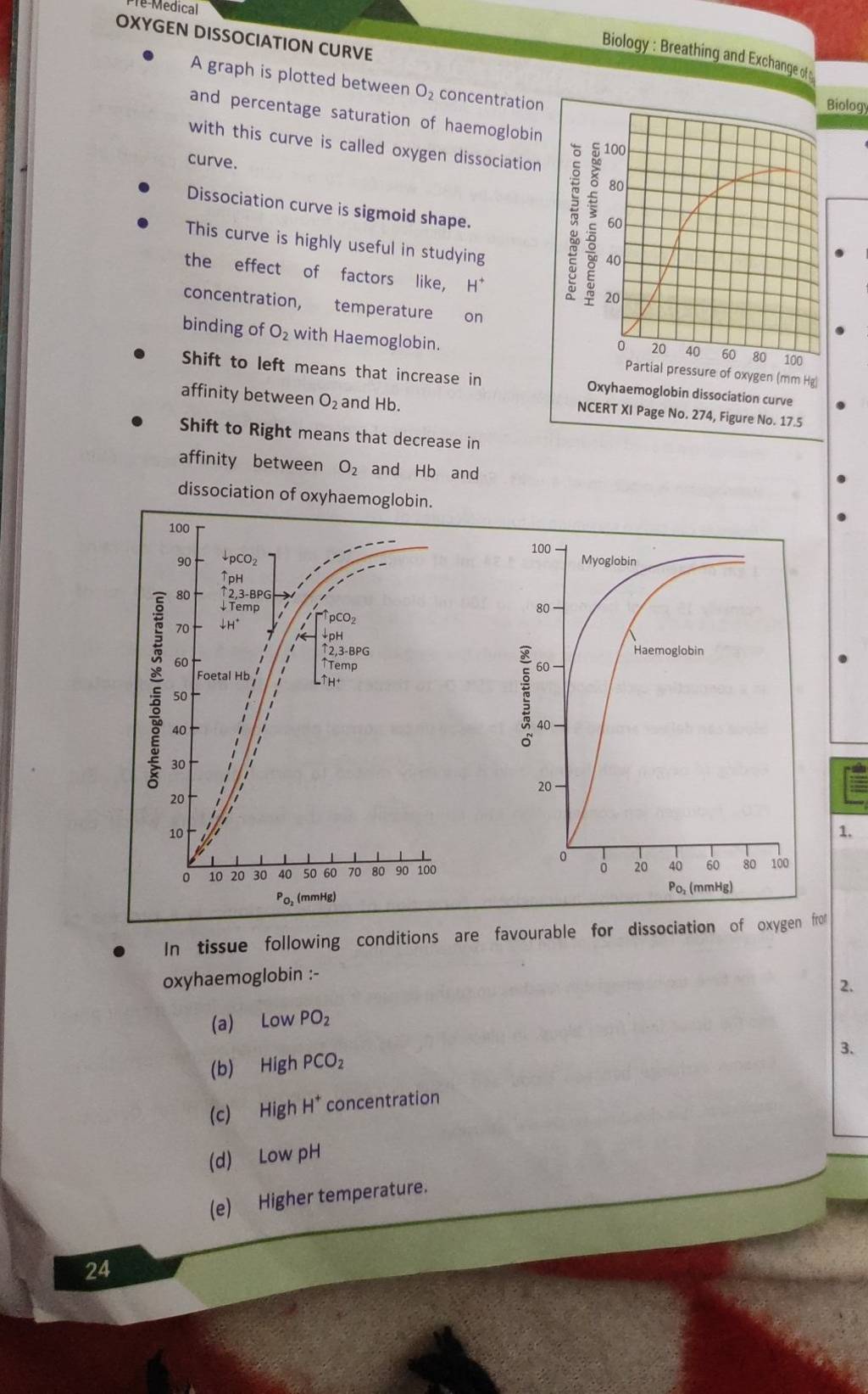 OXYGEN DISSOCIATION CURVE - A graph is plotted between O2 concentration
