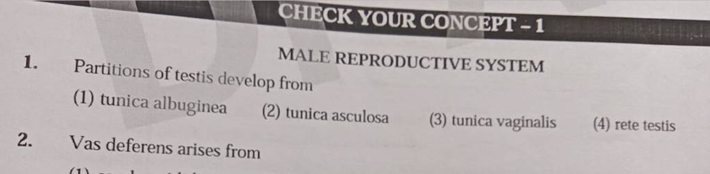 Check Your Concept 1 Male Reproductive System 1 Partitions Of Testis D 