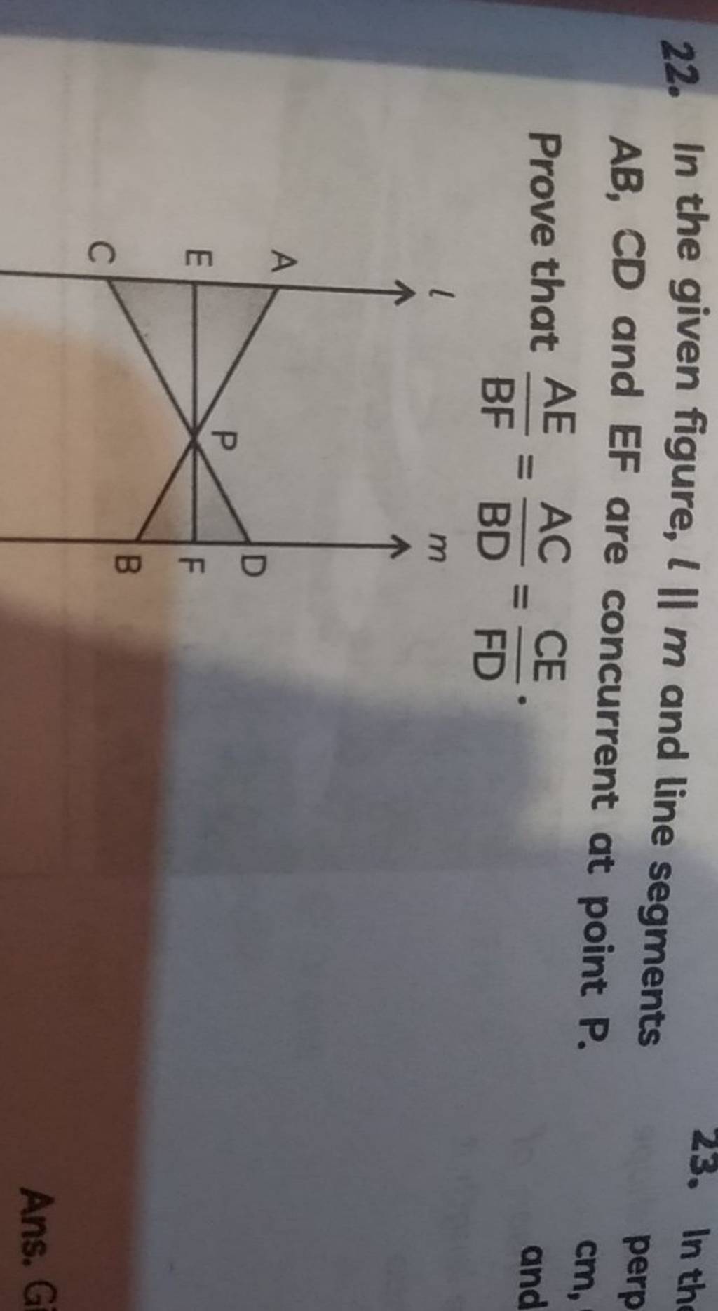 22. In the given figure, l∥m and line segments AB,CD and EF are concurren..