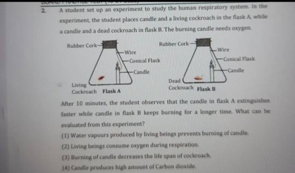 A student set up an experiment to study the human respiratory system. In A student set up an experiment to study the human respiratory system. In