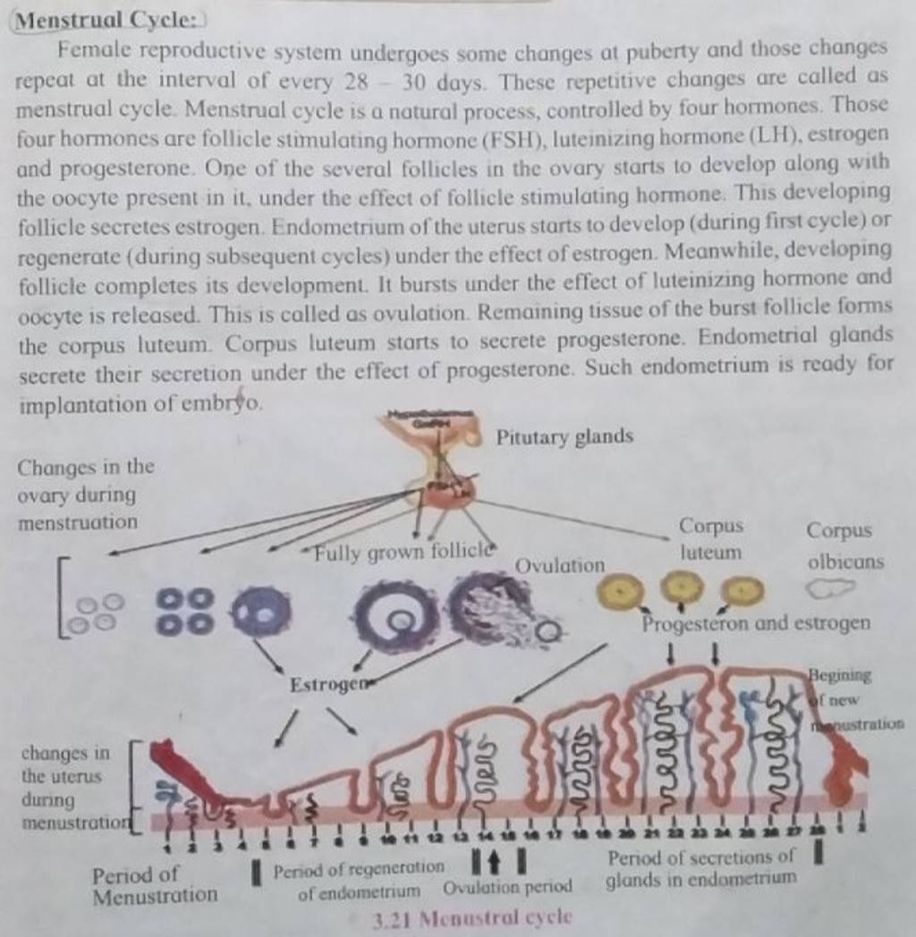 Menstrual Cycle: Female reproductive system undergoes some changes at pub..