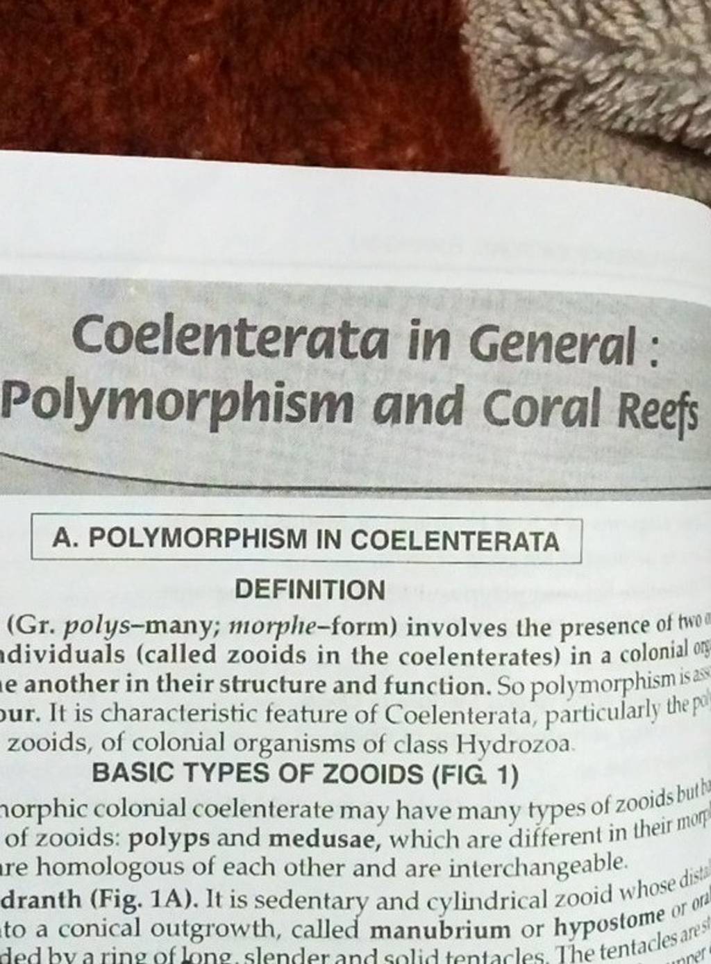 Coelenterata in General: Polymorphism and Coral Reefs A. POLYMORPHISM IN