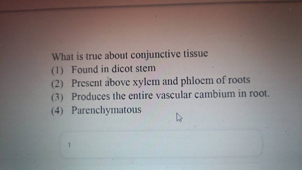 What is true about conjunctive tissue | Filo
