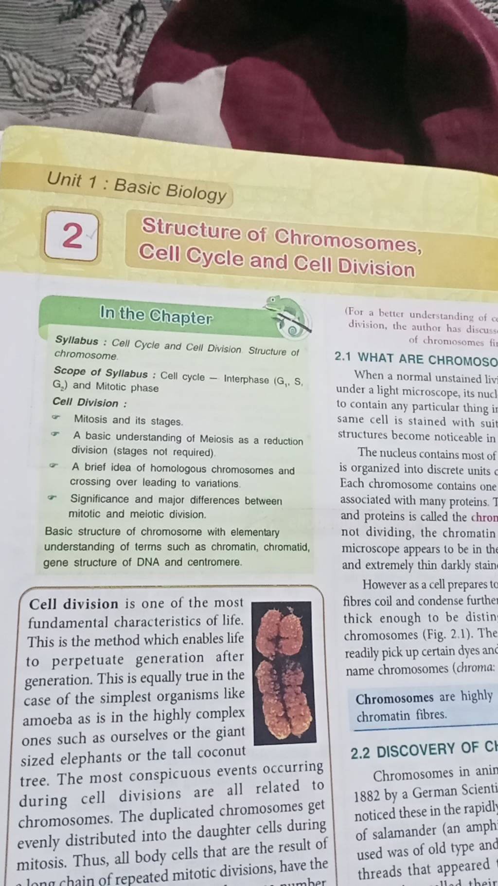 Unit 1: Basic Biology 2 Structure of Chromosomes, Cell Cycle and Cell Div..
