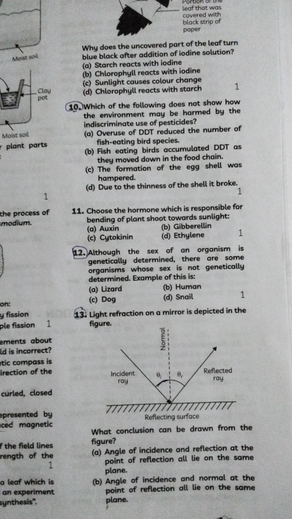 Why does the uncovered part of the leaf turn blue black after addition of..