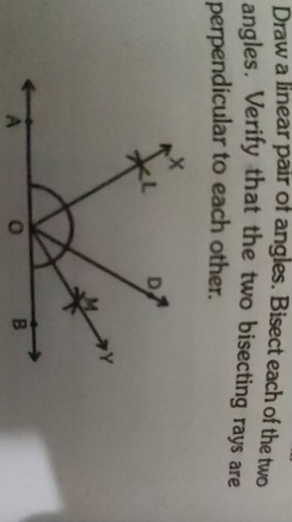 Draw a linear pair of angles. Bisect each of the two angles. Verify that