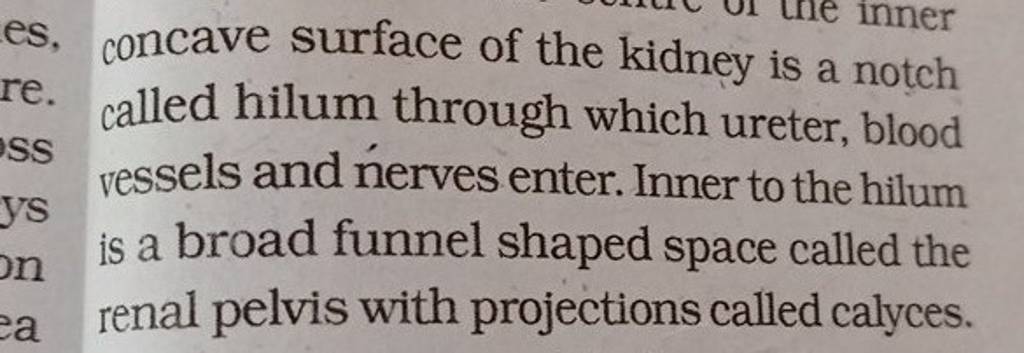 concave surface of the kidney is a notch called hilum through which urete..