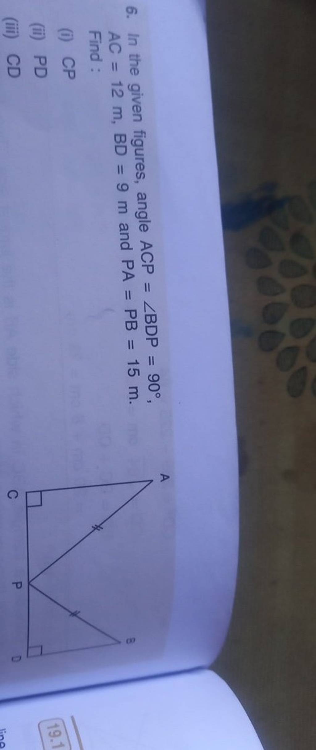 6. In the given figures, angle ACP=∠BDP=90∘, AC=12 m,BD=9 m and PA=PB=15