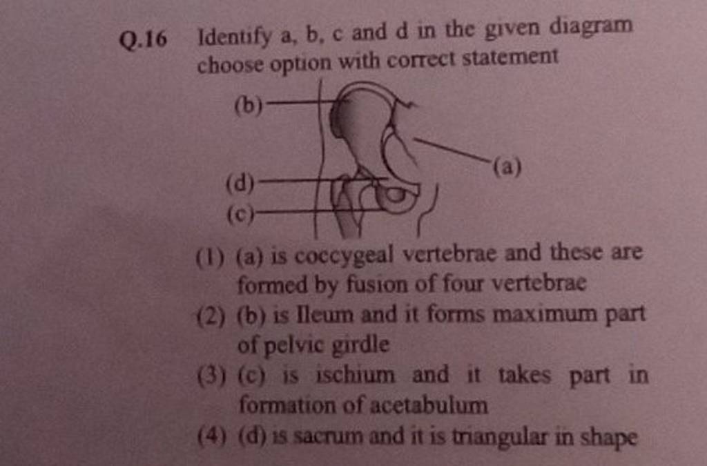 Q.16 Identify a,b,c and d in the given diagram choose option with correct.. Q.16 Identify a,b,c and d in the given diagram choose option with correct..