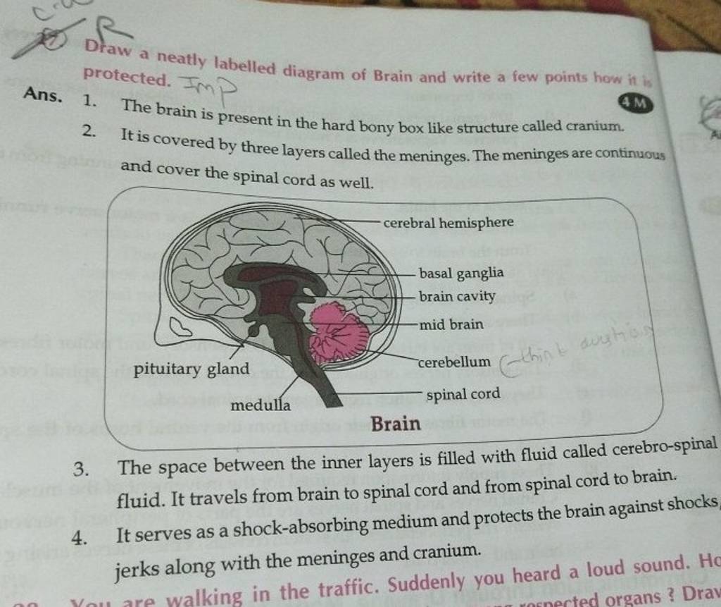 protected. In brain is present in the hard bony box like structure called..