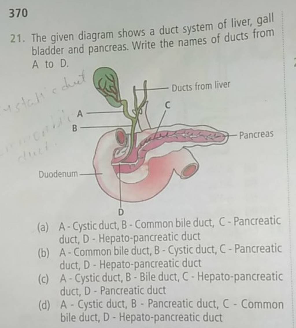 370 21. The given diagram shows a duct system of liver, gall bladder and