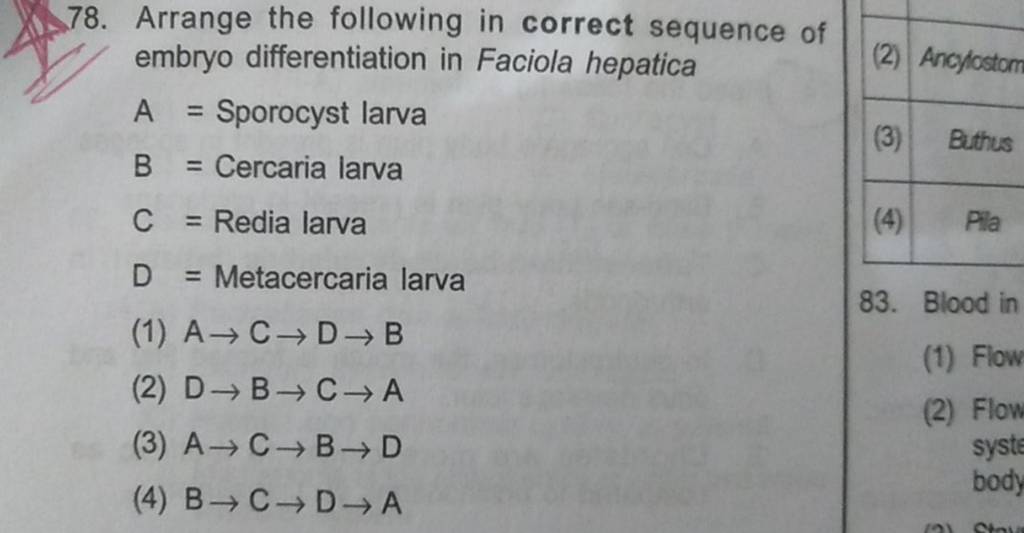 Arrange the following in correct sequence of embryo differentiation in Fa..