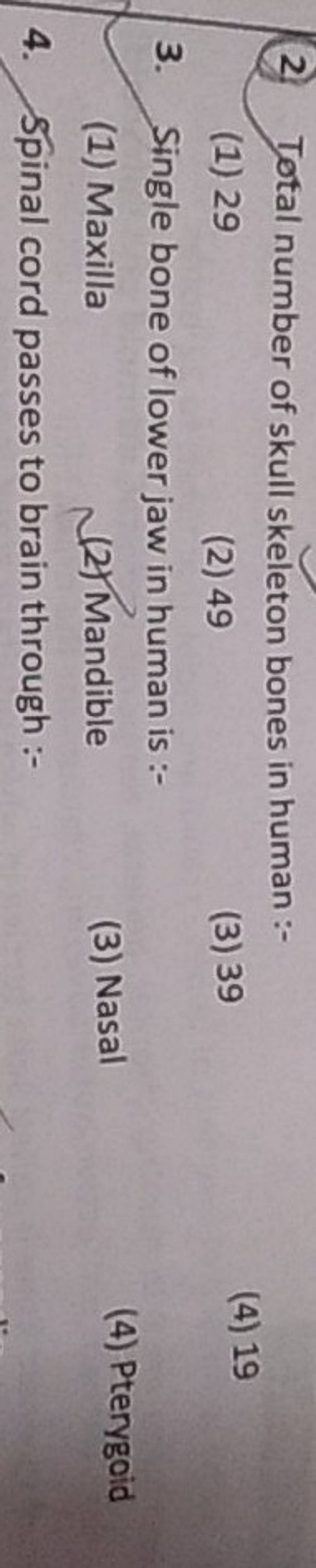 Total number of skull skeleton bones in human :- | Filo