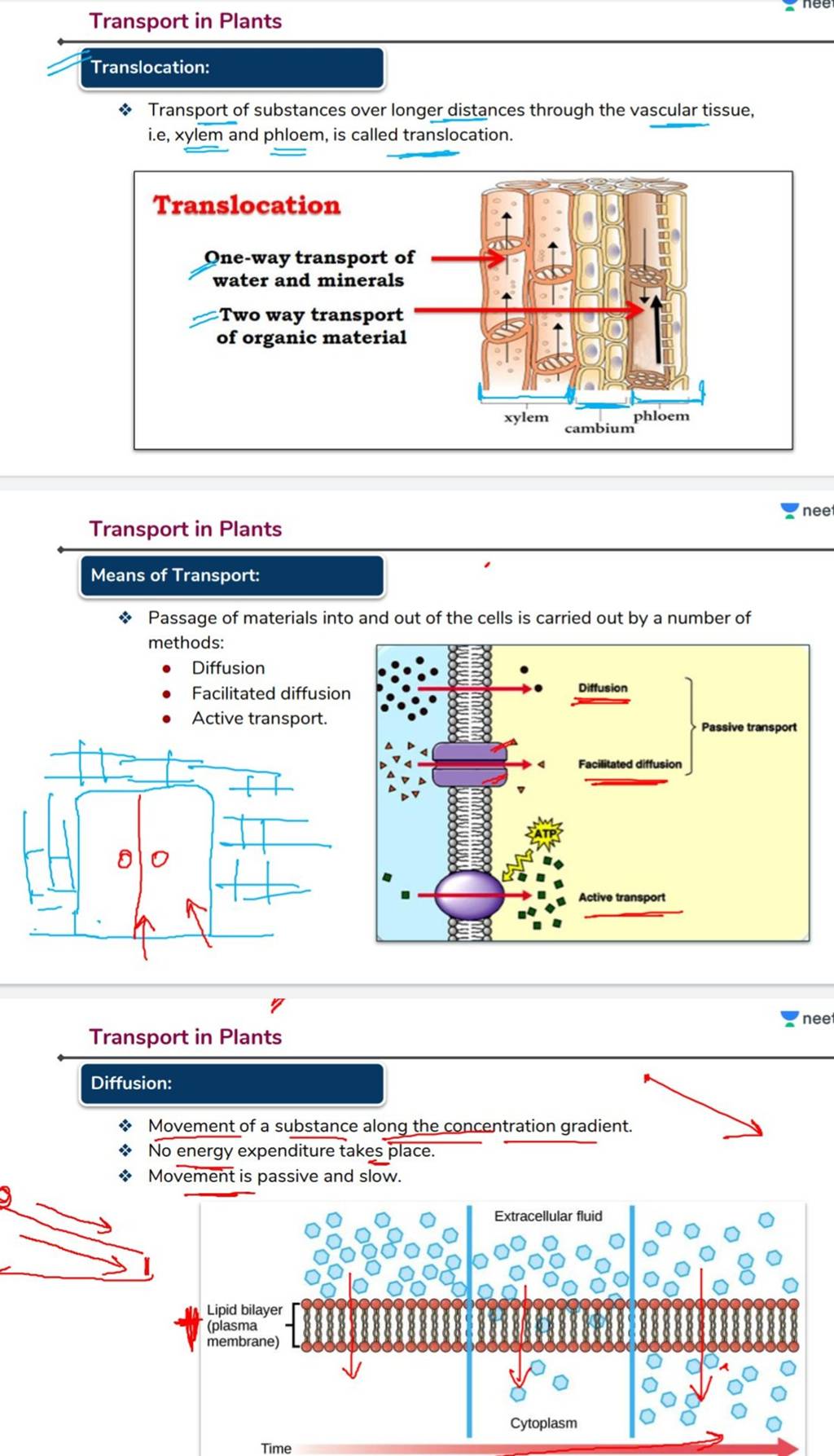 Transport in Plants Translocation: Transport of substances over longer di..