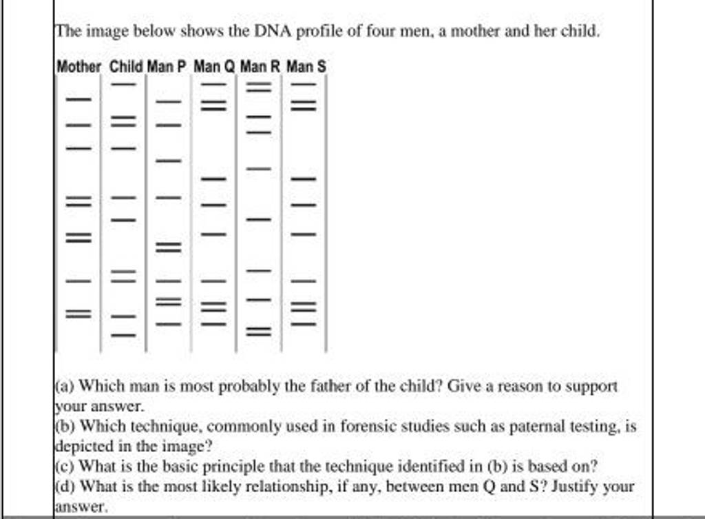 The image below shows the DNA profile of four men, a mother and her child..