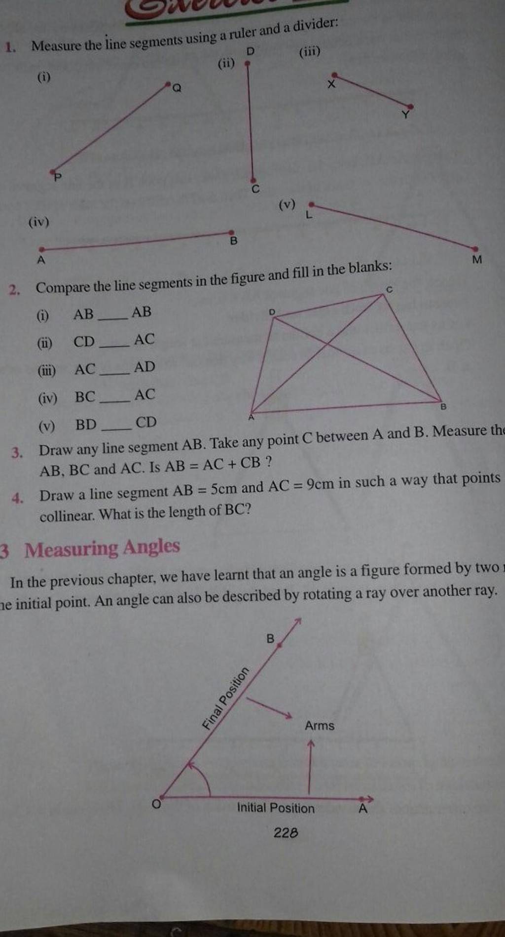 1. Measure the line segments using a ruler and a divider: (i) (ii) (iii)