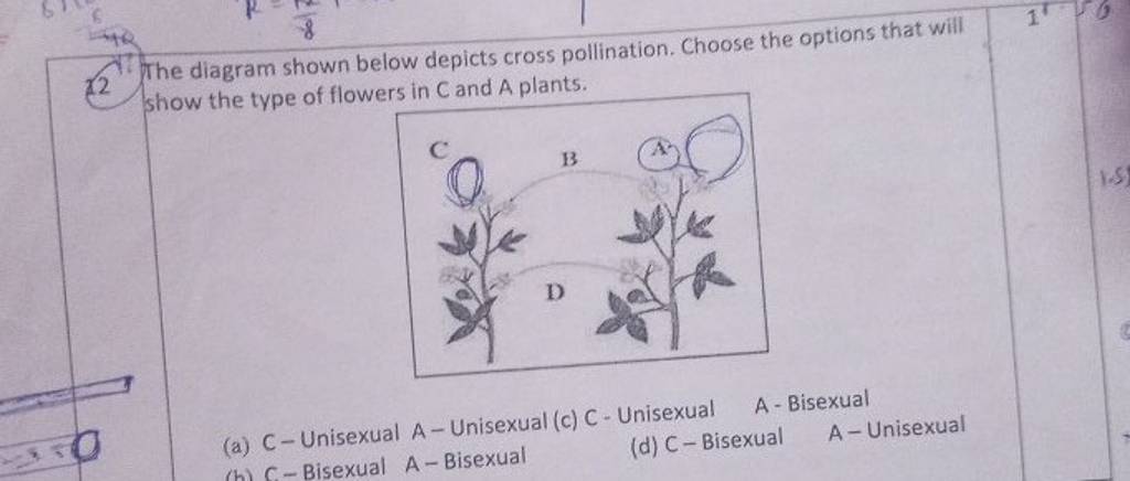 तh the diagram shown below depicts cross pollination. Choose the options तh the diagram shown below depicts cross pollination. Choose the options