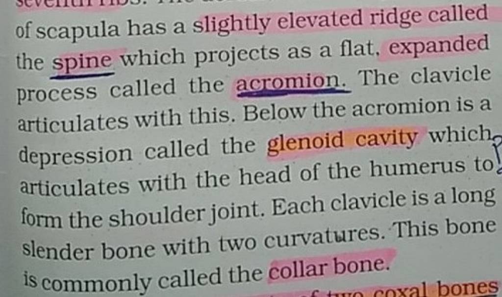 of scapula has a slightly elevated ridge called the spine which projects