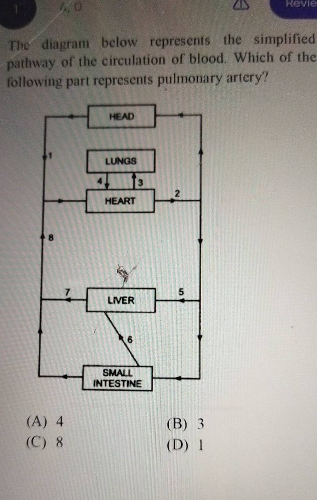 The diagram below represents the simplified pathway of the circulation of..