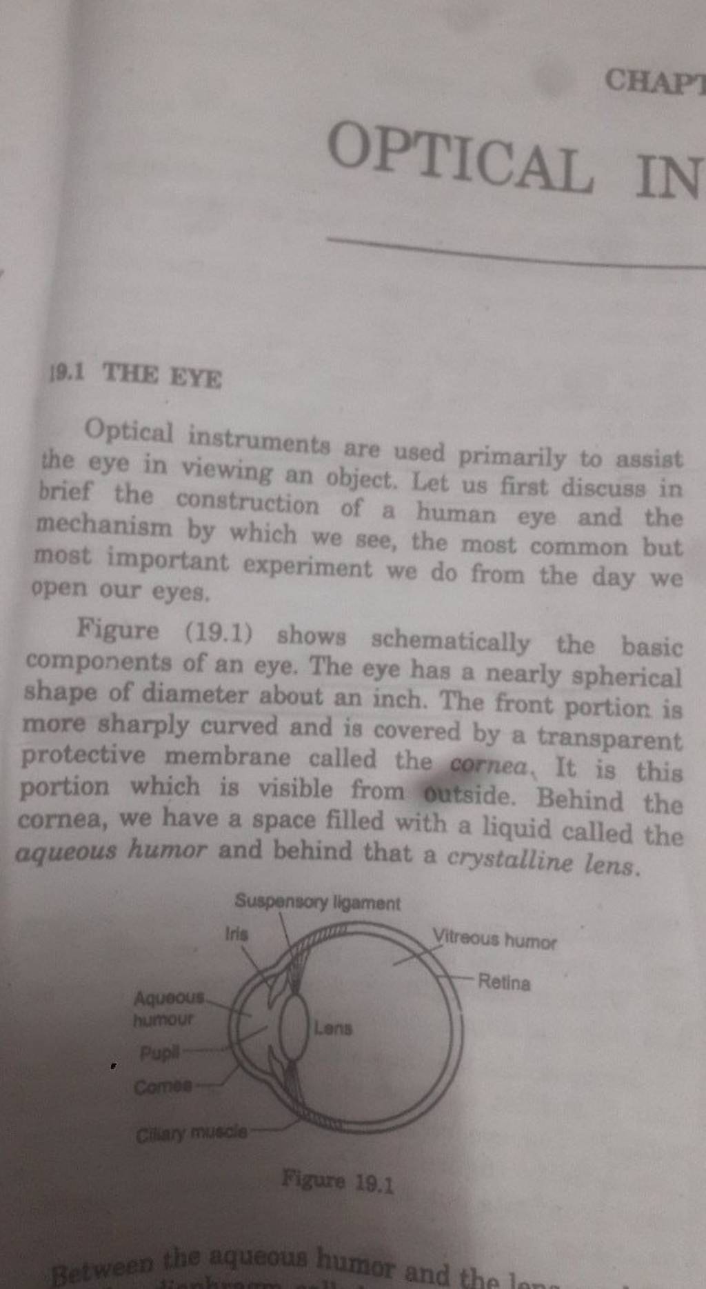19.1 THE EYE Optical instruments are used primarily to assist the eye in