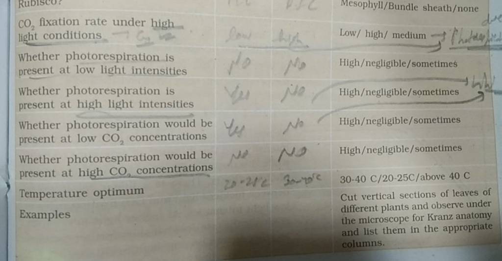 CO2 fixation rate under high light conditions Whether photorespiration