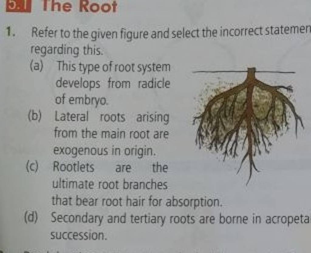 0 1 The Root 1 Refer To The Given Figure And Select The Incorrect Statem 0-1-the-root-1-refer-to-the-given-figure-and-select-the-incorrect-statem