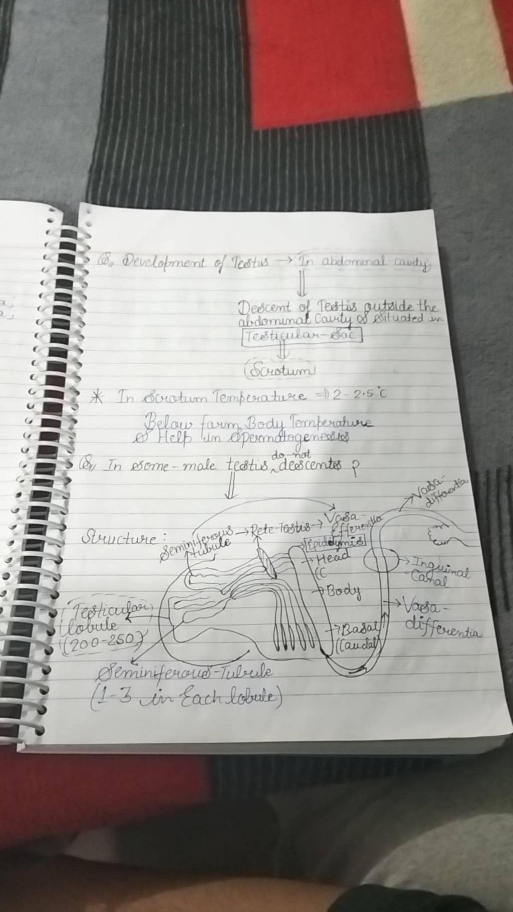 Development of Teestus → In abdominal cavity Descent of Testis outside ..