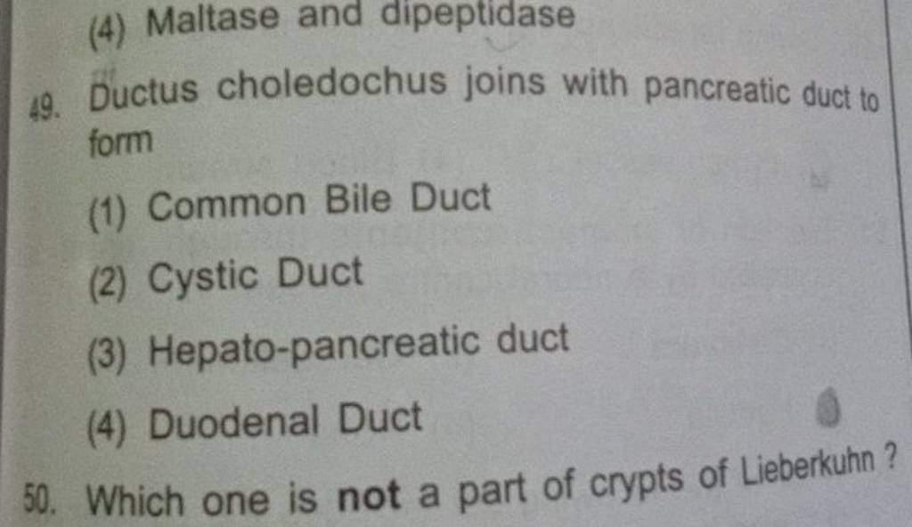 Ductus choledochus joins with pancreatic duct to form | Filo