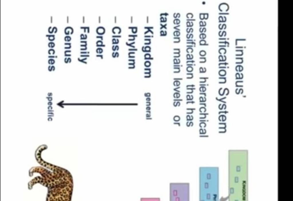 Linneaus' Classification System - Based on a hierarchical classification Linneaus' Classification System - Based on a hierarchical classification