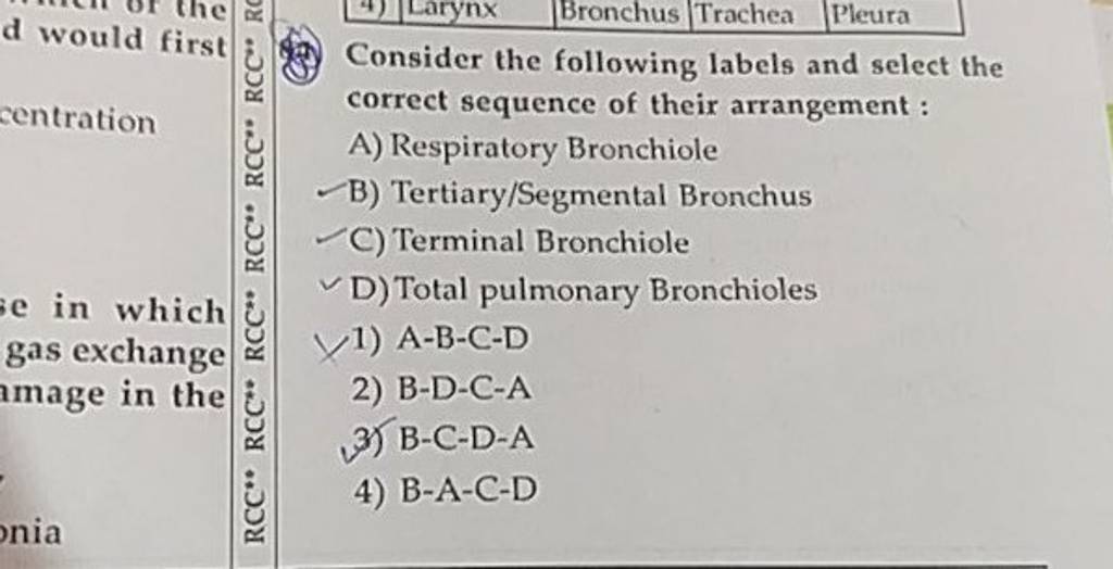 Consider the following labels and select the correct sequence of their ar..