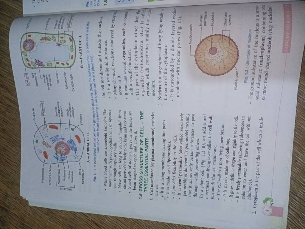 A - ANIMAL CELL Fig. 1.1 : A generalised animal cell and a generalised pl..