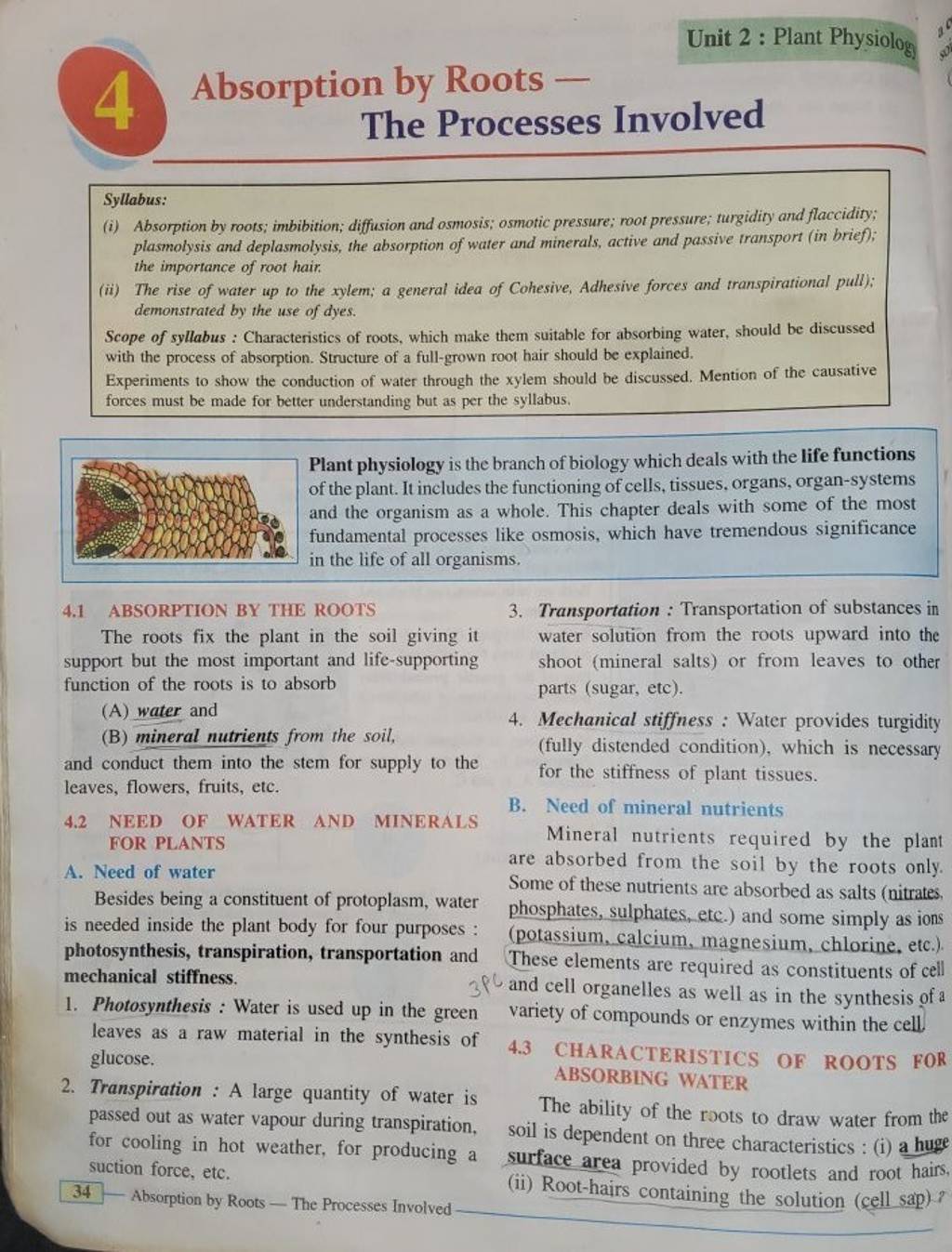 Absorption by Roots - Unit 2: Plant Physiolog, The Processes Involved Syl..