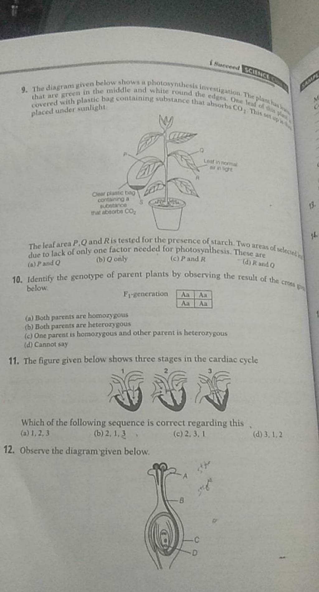 The diagram given below shows a photosynthesis investigation. The 0 sen t.. The diagram given below shows a photosynthesis investigation. The 0 sen t..