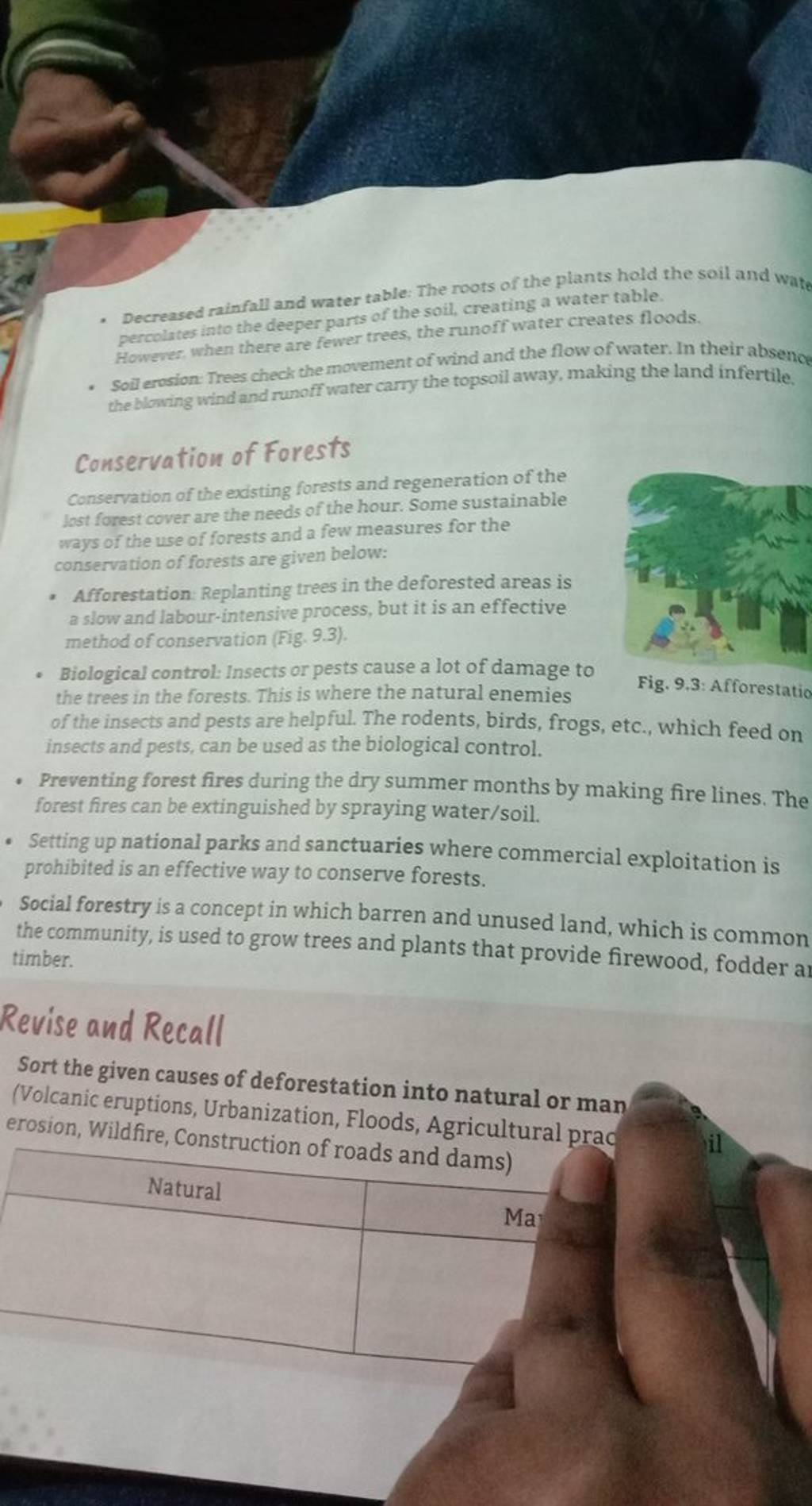 Decreased rainfall and water table: The roots of the plants hold the soil..