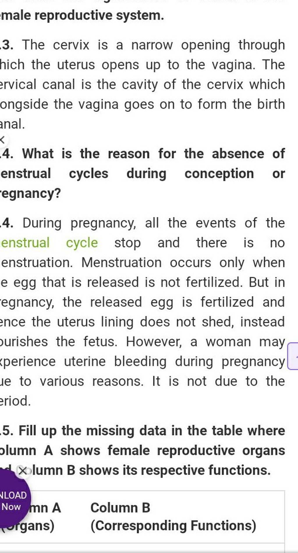male reproductive system. 3. The cervix is a narrow opening through hich