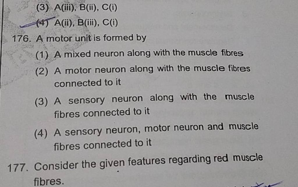 A motor unit is formed by | Filo