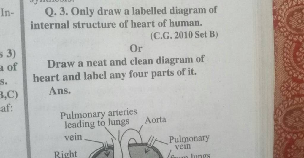 Q. 3. Only draw a labelled diagram of internal structure of heart of huma.. Q. 3. Only draw a labelled diagram of internal structure of heart of huma..