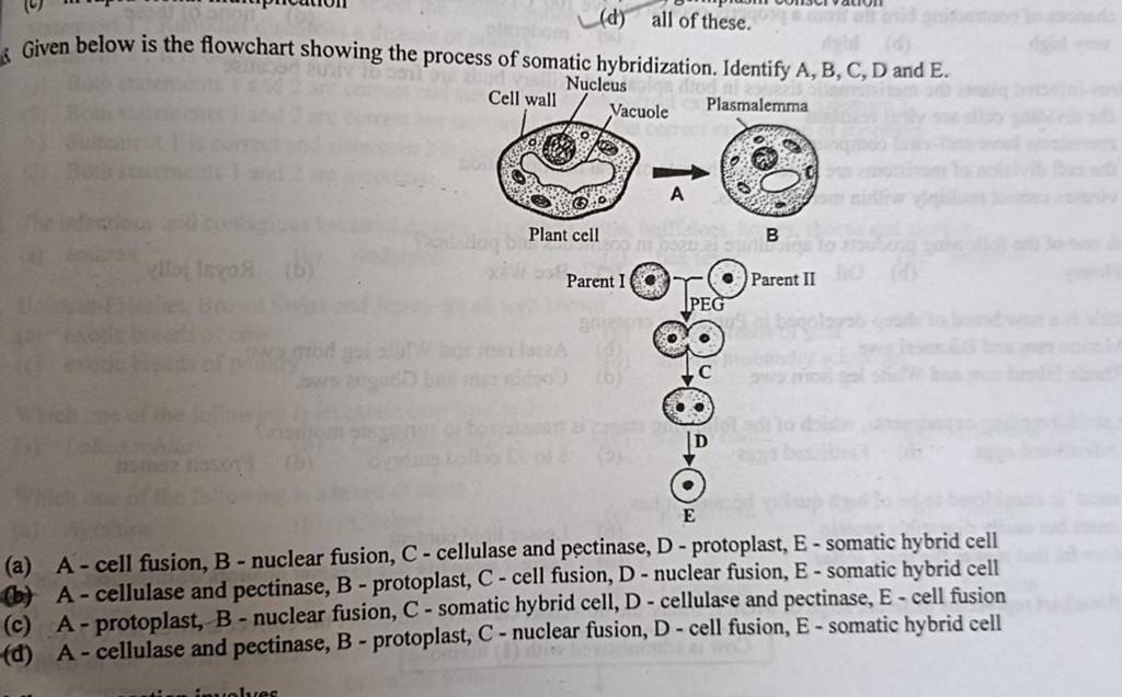Given below is the flowchart showing the process of somatic hybridization..