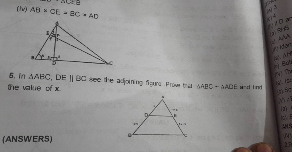(iv) AB×CE=BC×AD 5. In ABC,DE∥BC see the adjoining figure .Prove that A..