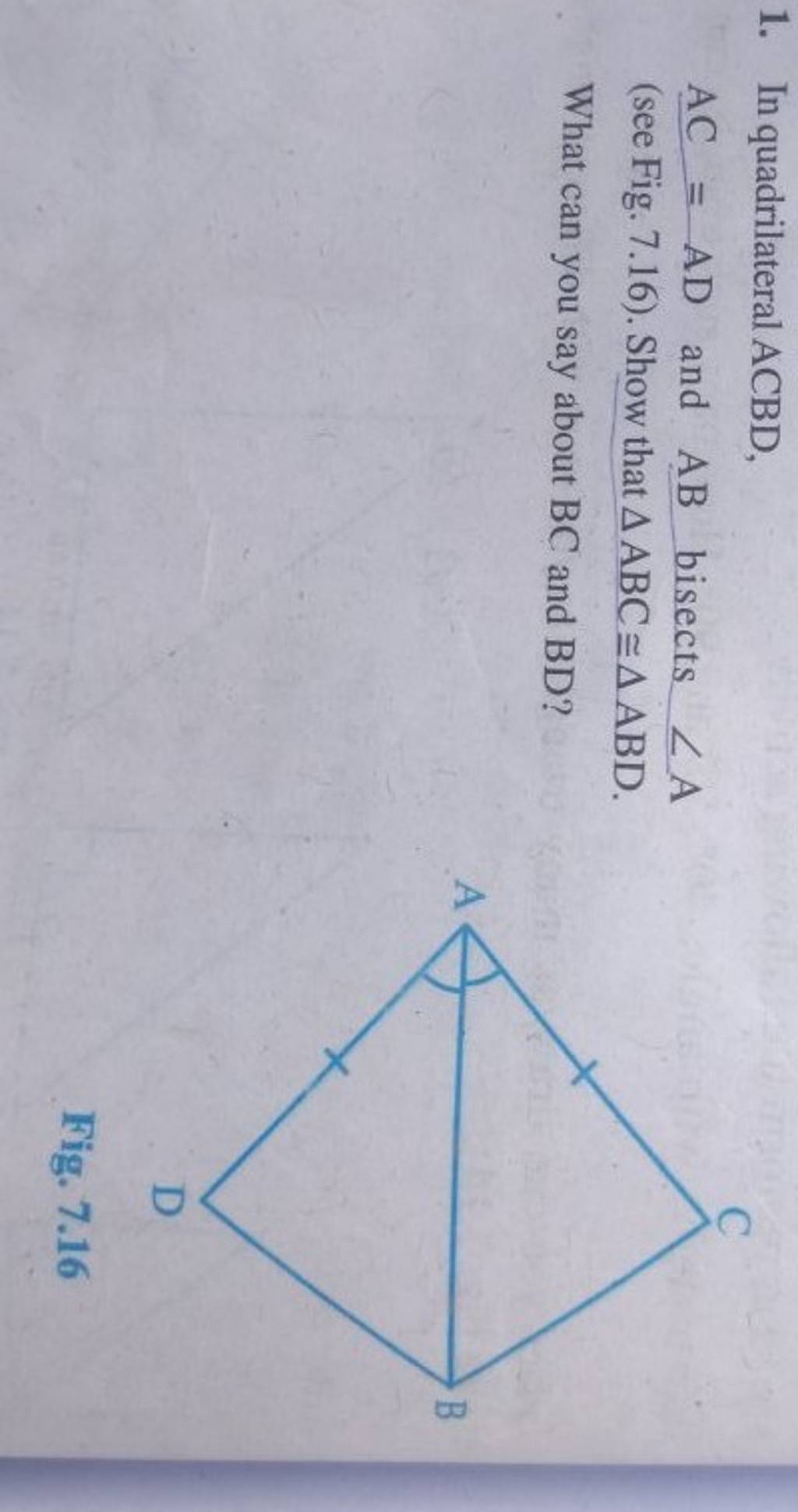 1. In quadrilateral ACBD, AC =AD and AB bisects ∠A (see Fig. 7.16). Show