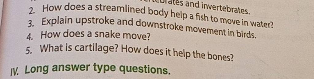 2. How does a streamlined body help a invertebrates. | Filo