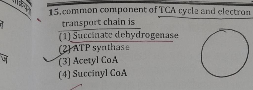 15.common component of TCA cycle and electron transport chain is | Filo