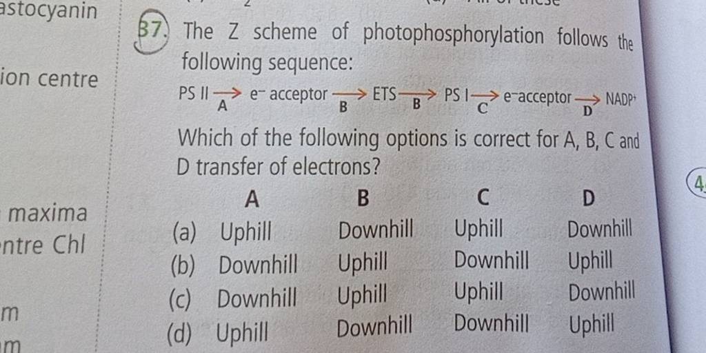 37. The Z scheme of photophosphorylation follows the following sequence:
