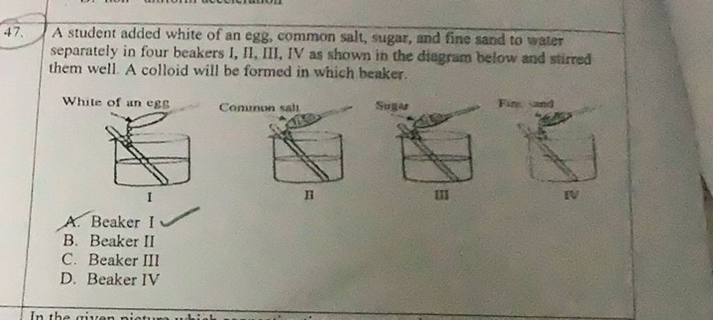 A student added white of an egg, common salt, sugar, and fine sand to wat..