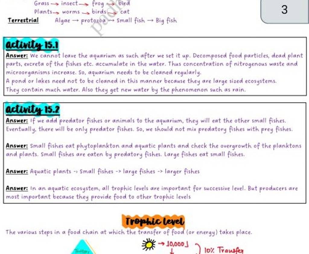 Grass → insect → frog → bird Plants → worms → birds → cat Terrestrial Alg..