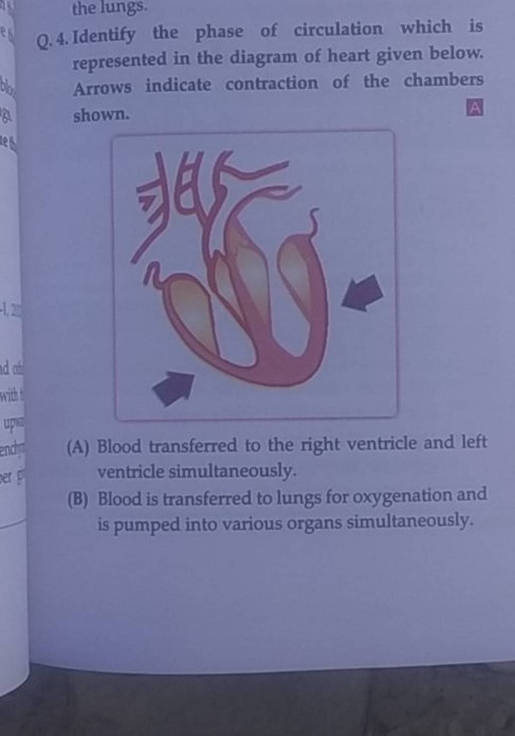 the lungs. Q.4. Identify the phase of circulation which is represented in..