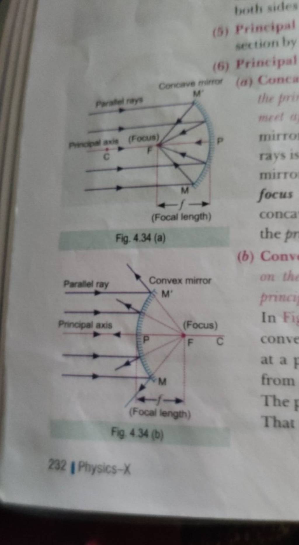 Parallel rays Principal axis Parallel ray Principal axis both sides (5) P..