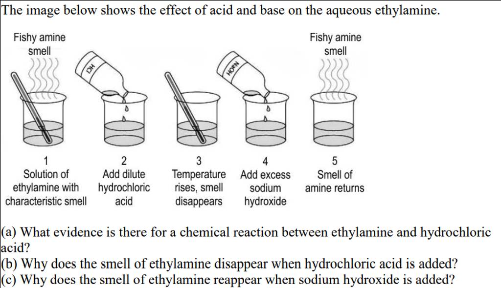 The image below shows the effect of acid and base on the aqueous ethylami..