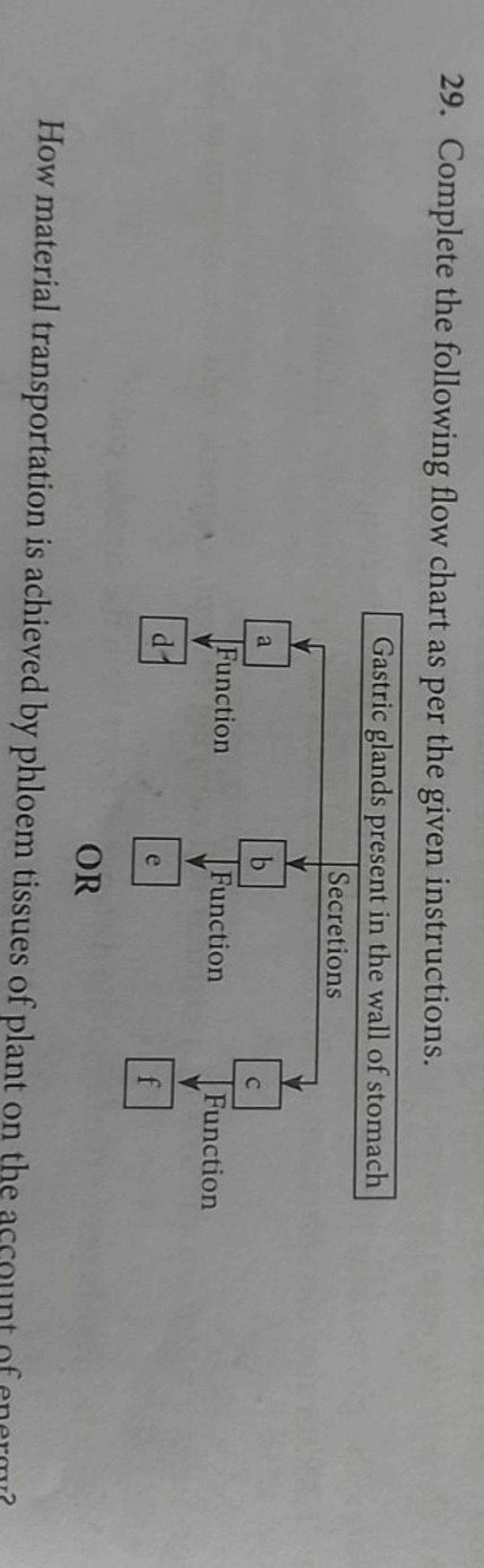 29. Complete the following flow chart as per the given instructions. Gast..